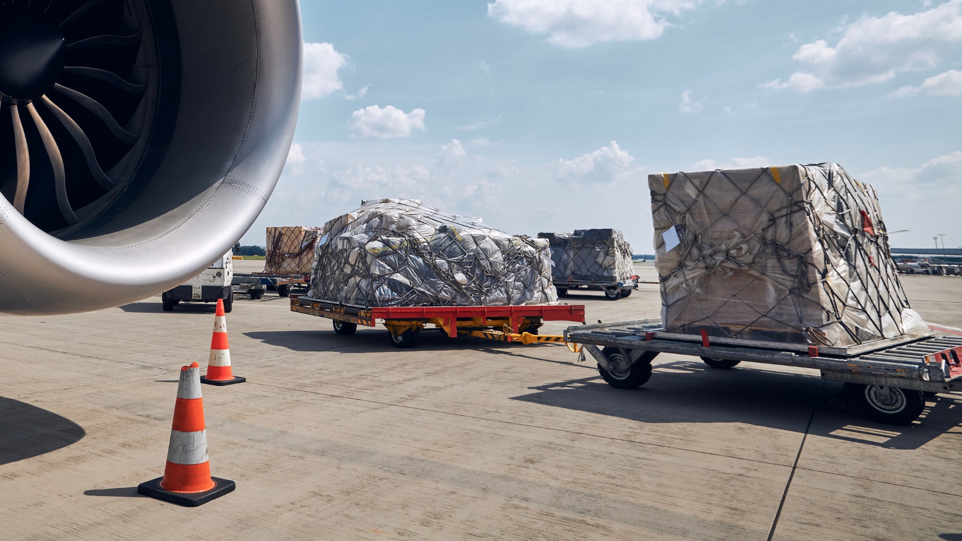 P1P/PAG Pallet - FREJA