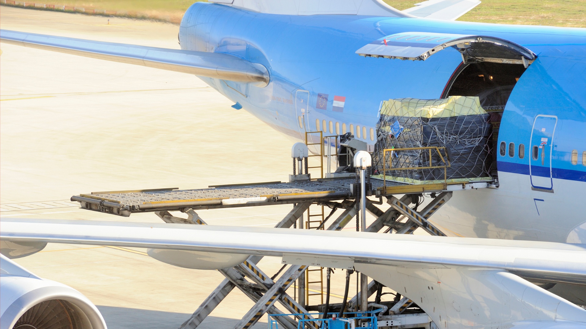 P6P/PMC Pallet - FREJA